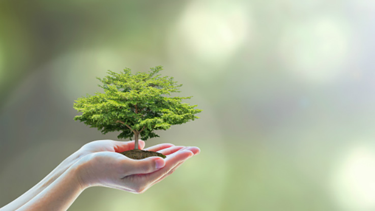 自動車業界のGADSL物質分析 - RoHS分析などの化学分析サービス - エコエンジェル（ecoAngel）